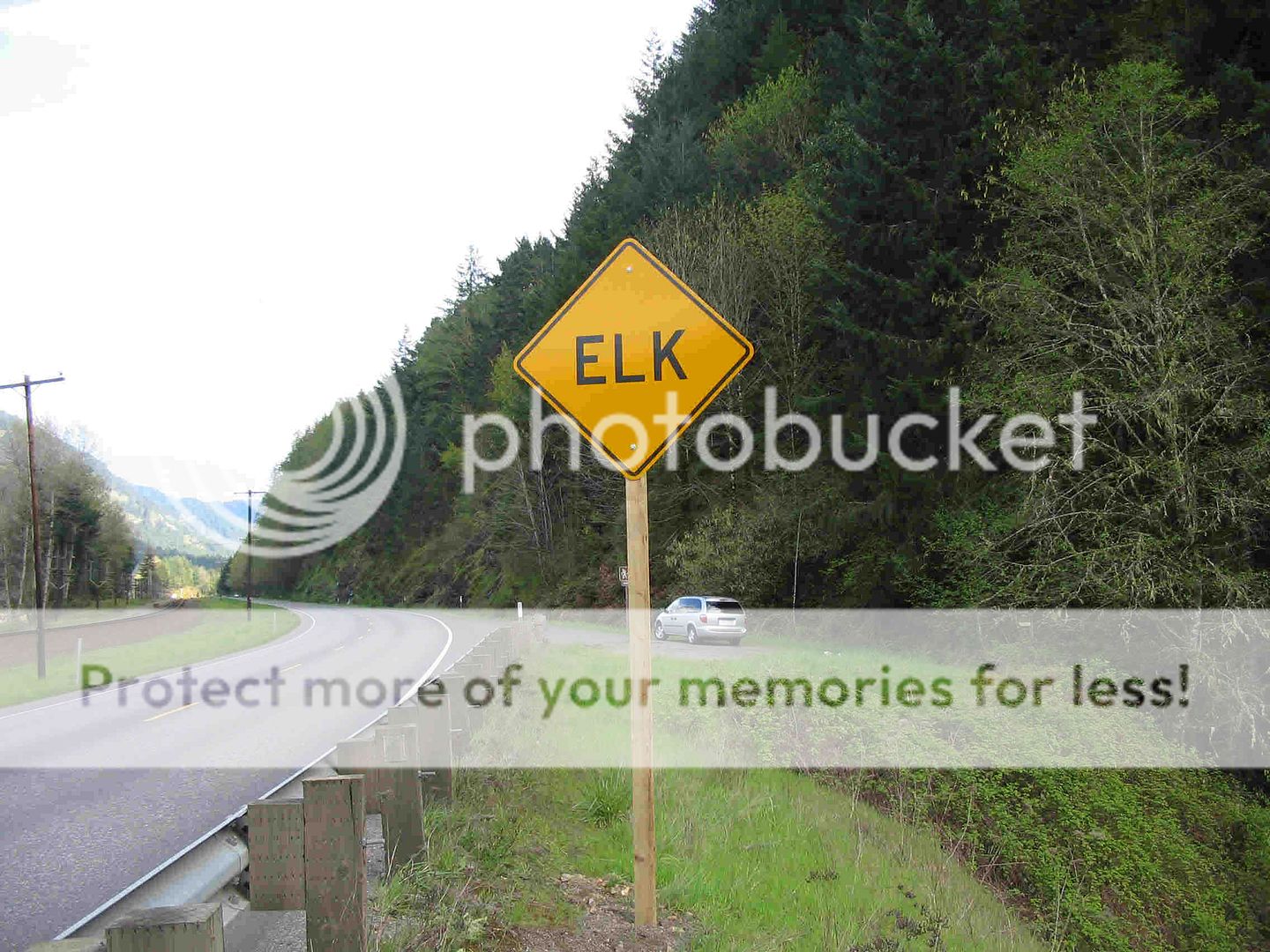 Proper way to read elk sign... | Archery Talk Forum