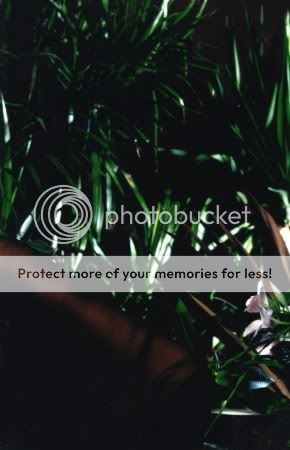 Anna Zaikin | the Fashion Spot