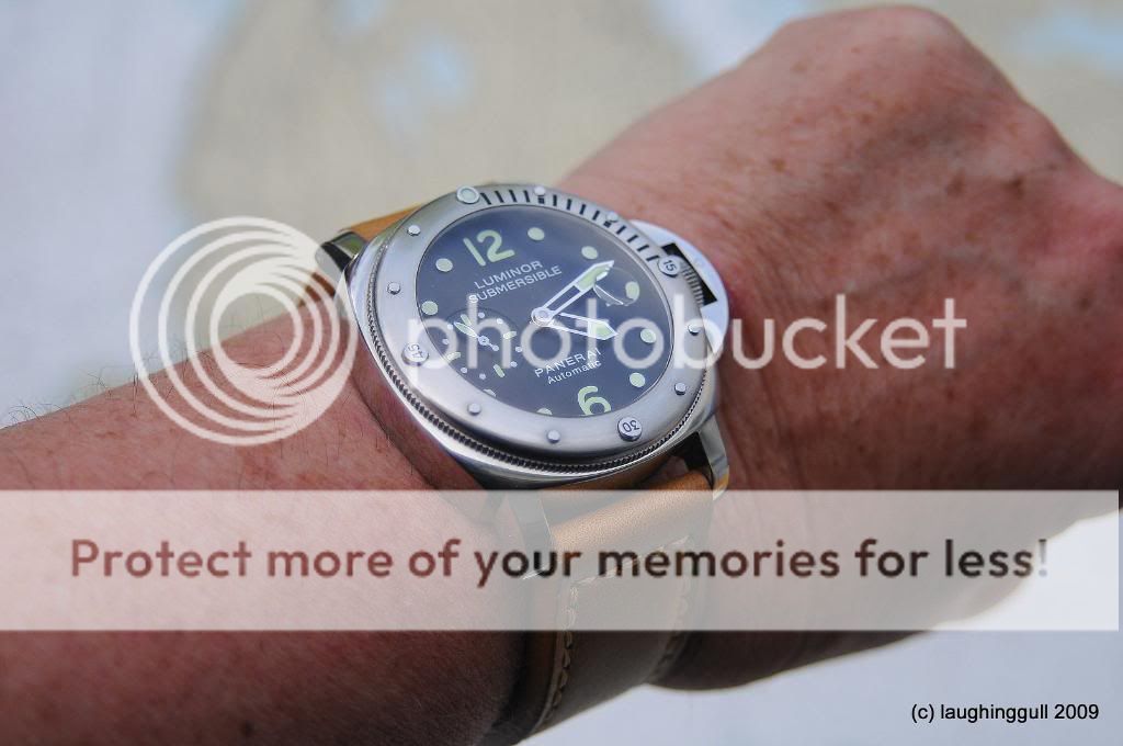 Best looking strap for a 024? | WatchUSeek Watch Forums