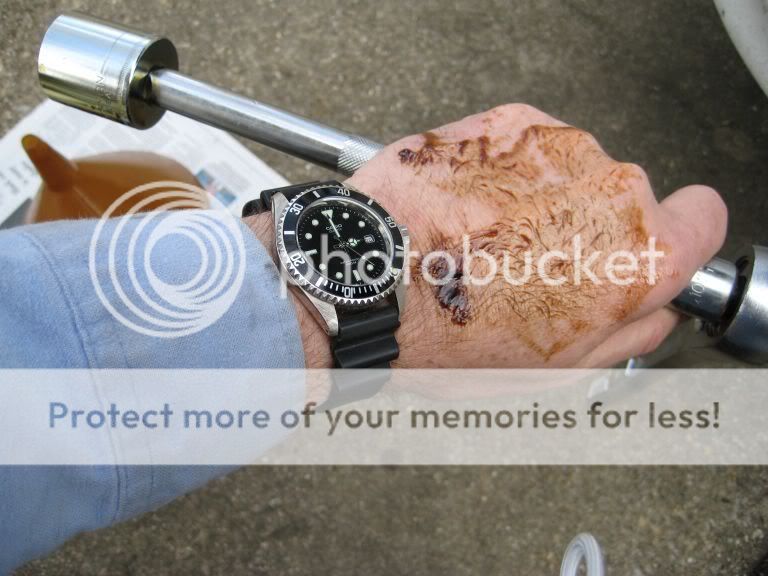 Noob beater dive watch advice? | WatchUSeek Watch Forums