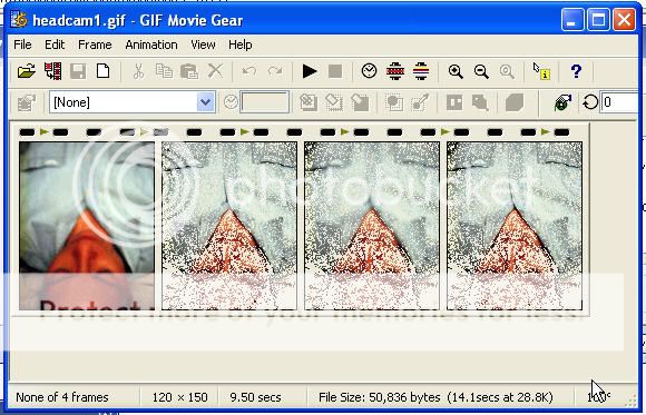 Now, I've Seen It All | Wackbag.com