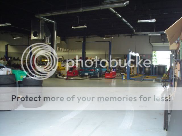 Paradise Blue Green Pearl Tegs | Team Integra Forums