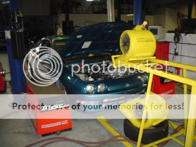 Paradise Blue Green Pearl Tegs | Team Integra Forums