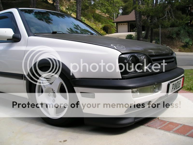 show your lip | VW Vortex - Volkswagen Forum