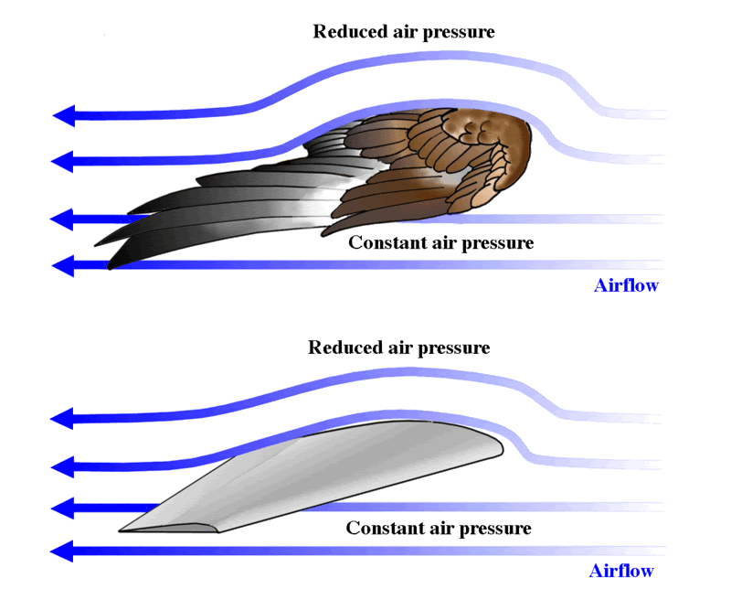 Aeronauti(k)s