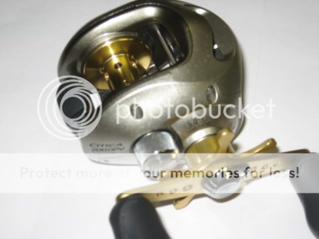 Shimano Citica 200D DPV for sale | Chattanooga Fishing Forum