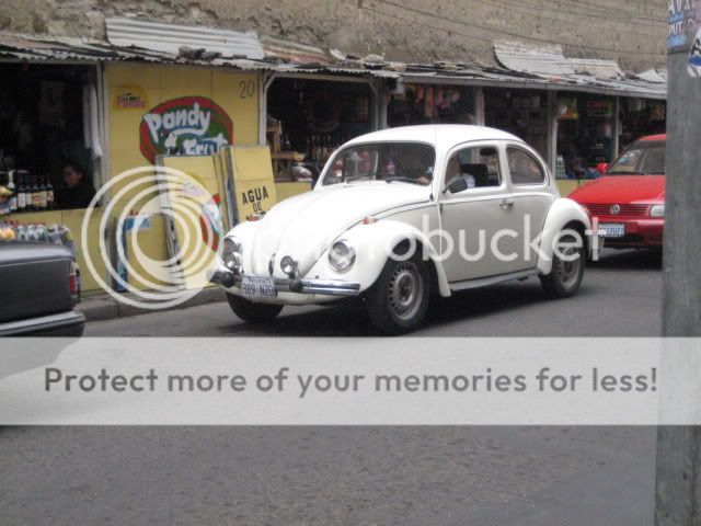 TheSamba.com :: Beetle - 1958-1967 - View topic - girlfriend got back ...