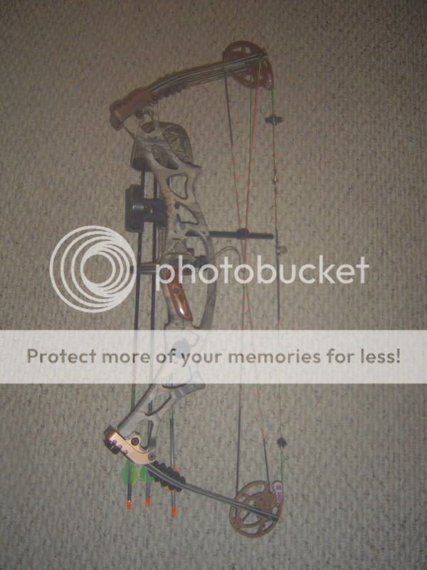 Dry Fire | Archery Talk Forum