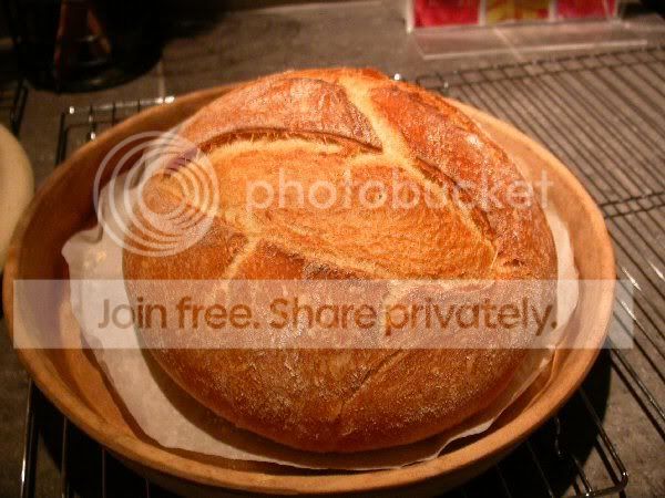 New bread recipe trial ~ PAGNOTTA ~ a biga based round Italian loaf ...